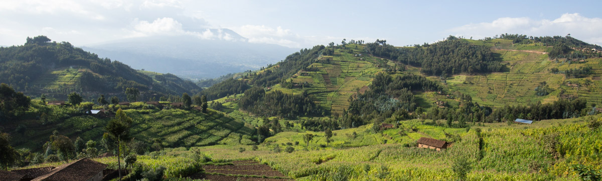 Kitchen Gardens Improve Health in Rwanda | ADRA Canada